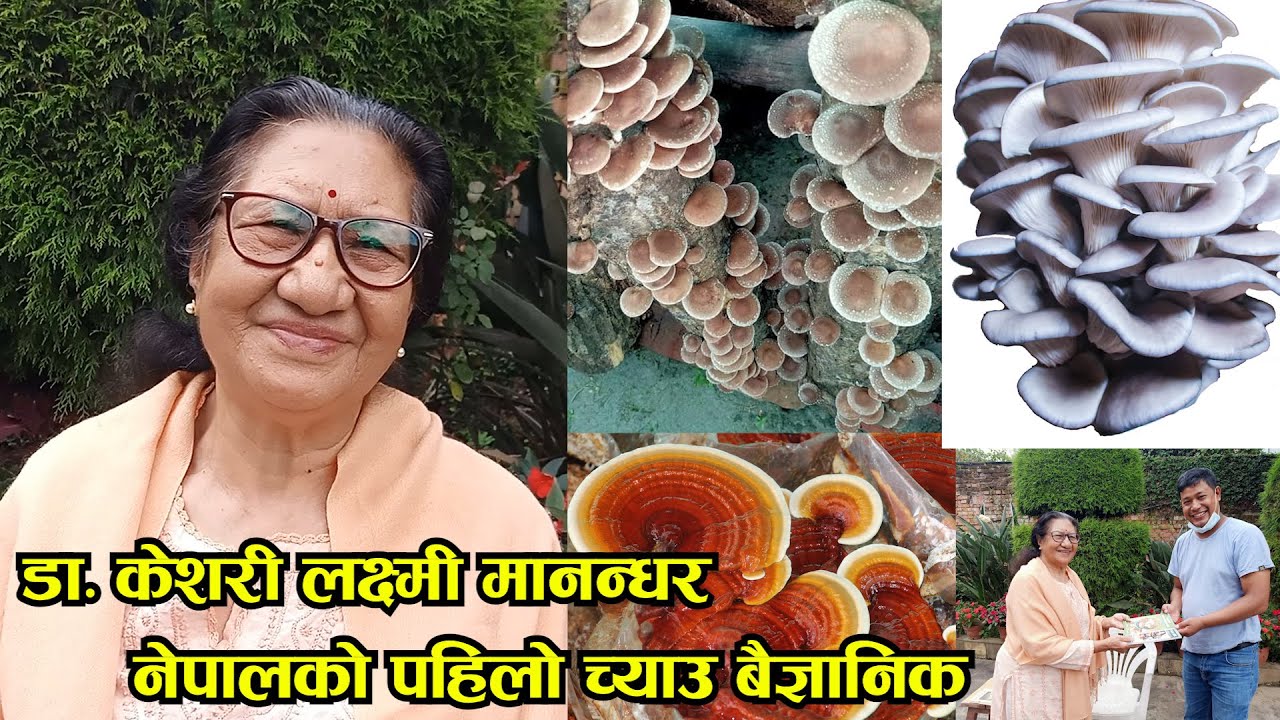 First mushroom scientist of Nepal.नेपालको च्याउ खेतिको बिकास बारे बुझ्न ...