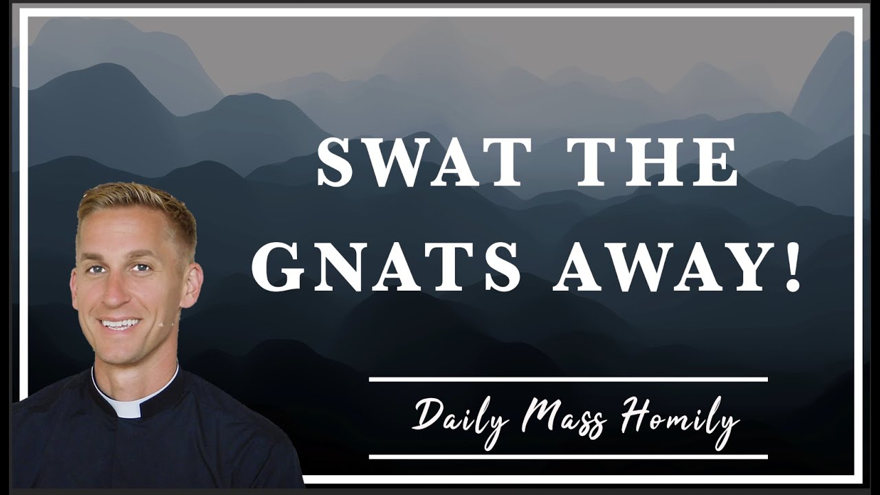 Swat the Gnats Away! - YouTube