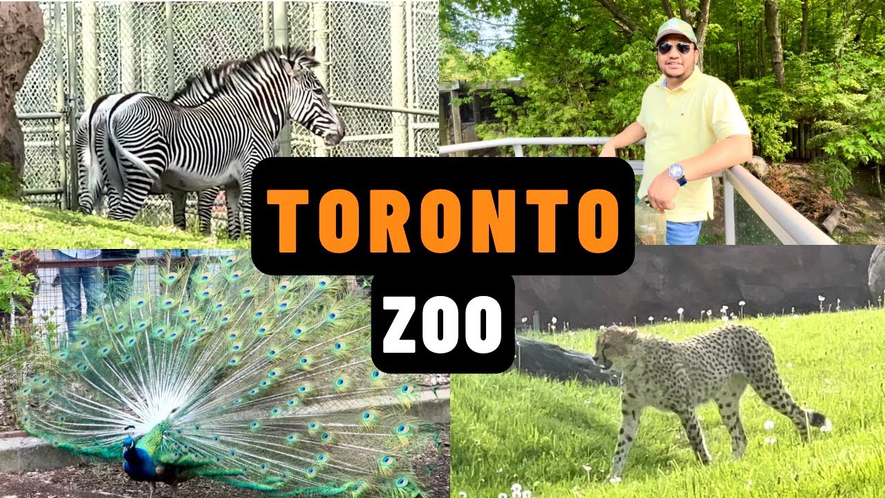 Largest Zoo of Canada 🇨🇦 | Toronto Zoo 🐆 - YouTube