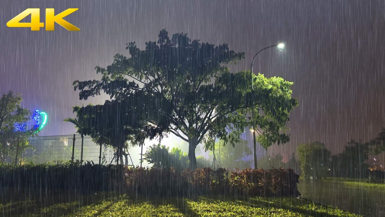 Loud rain sound for insomniacs | Heavy rain on the beautiful sparkling ...