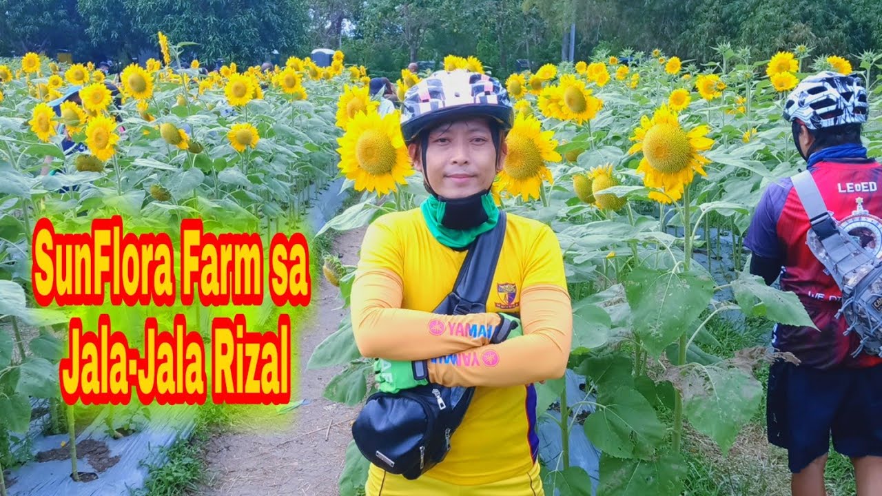 SUNFLORA FARM sa JALA-JALA Rizal - YouTube