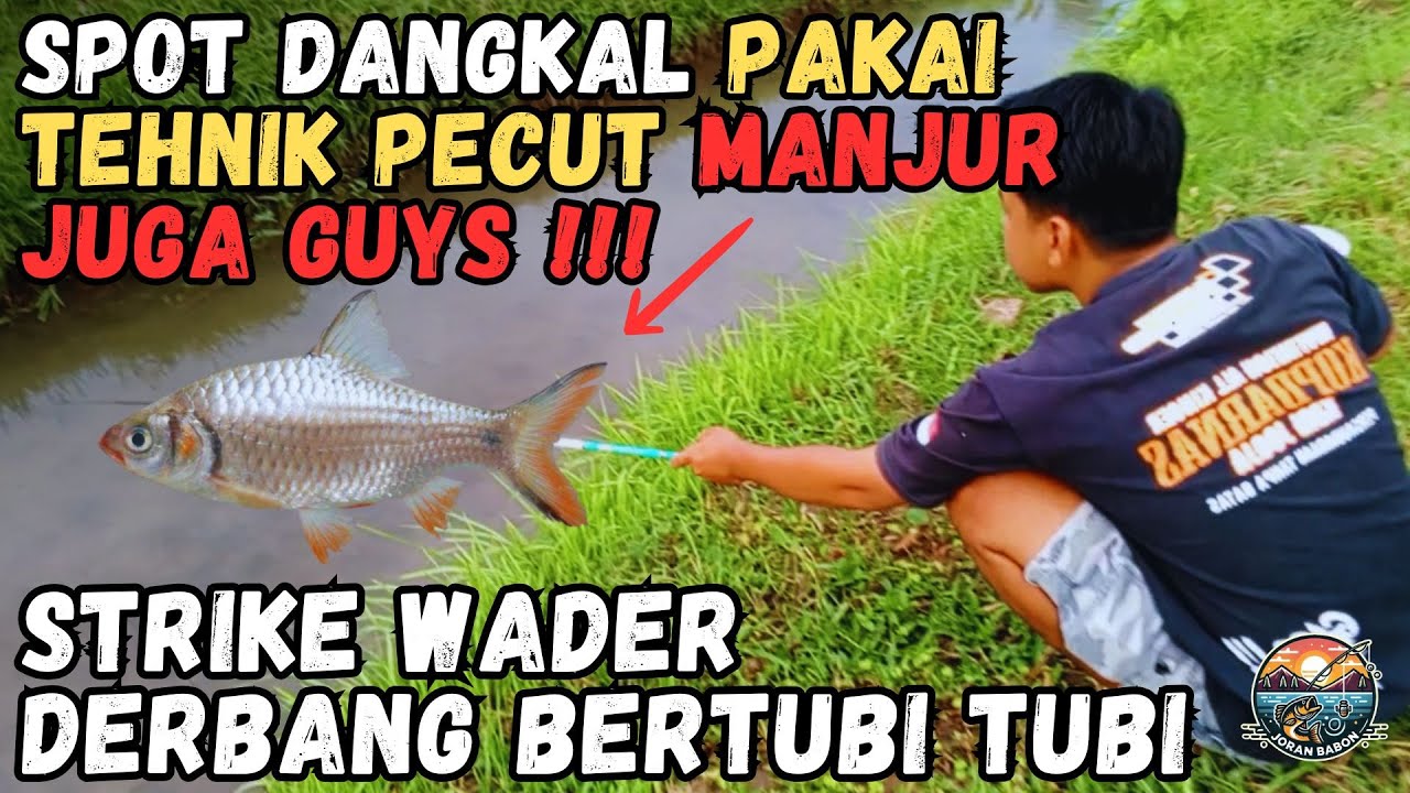 Spot Mancing Ikan Wader Tehnik Pecut Umpan Ulat Kandang di Kali Sungai Dangkal Jogja Kulon Progo ...