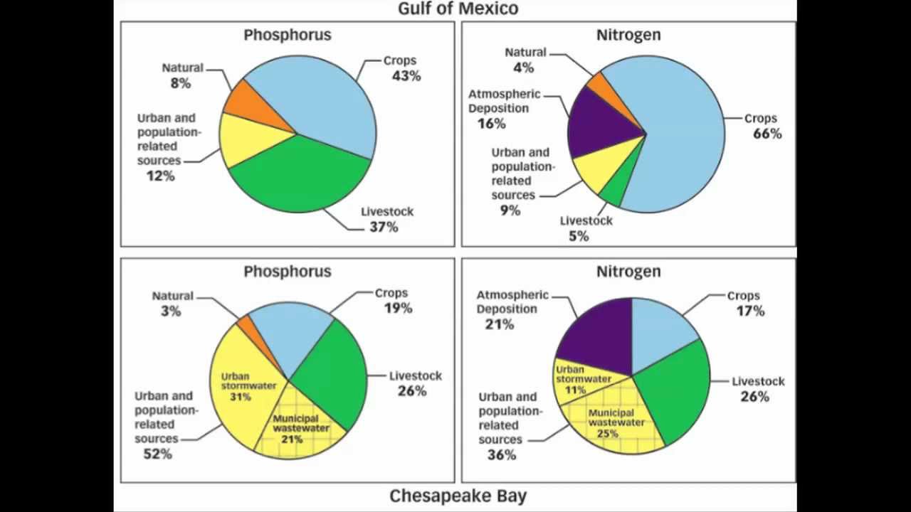 Nutrient Pollution Solutions - YouTube