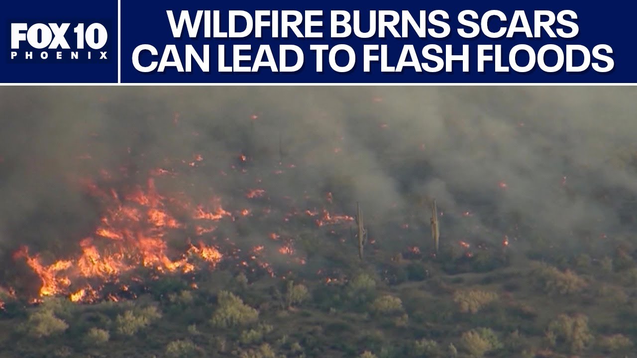 What you need to know about burn scars l FOX 10 Phoenix - YouTube