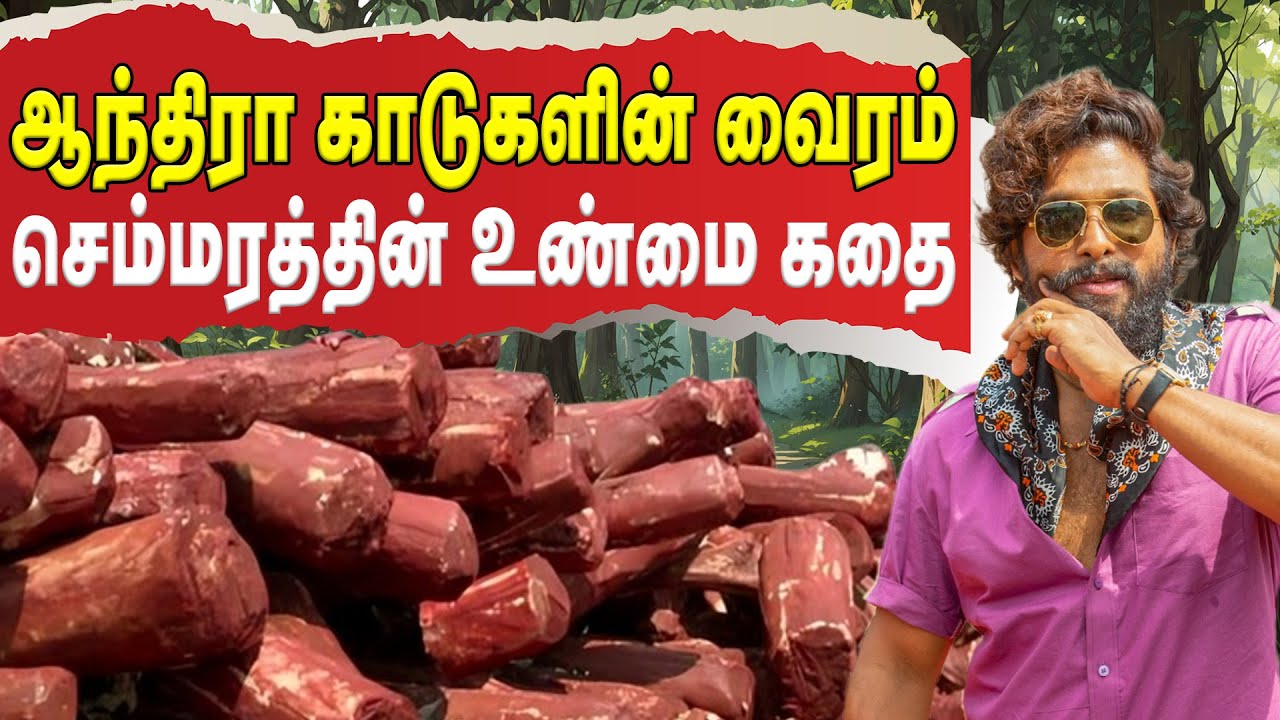 ஆந்திரா காடுகளின் வைரம் ! Red Sandalwood Tree Story | Unknow Story ...