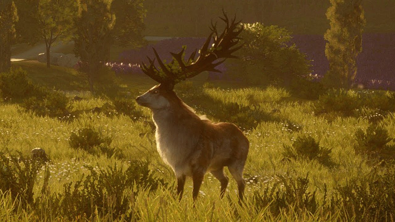 Great One Red Deer on Cuatro Colinas | TheHunter: Call of The Wild ...