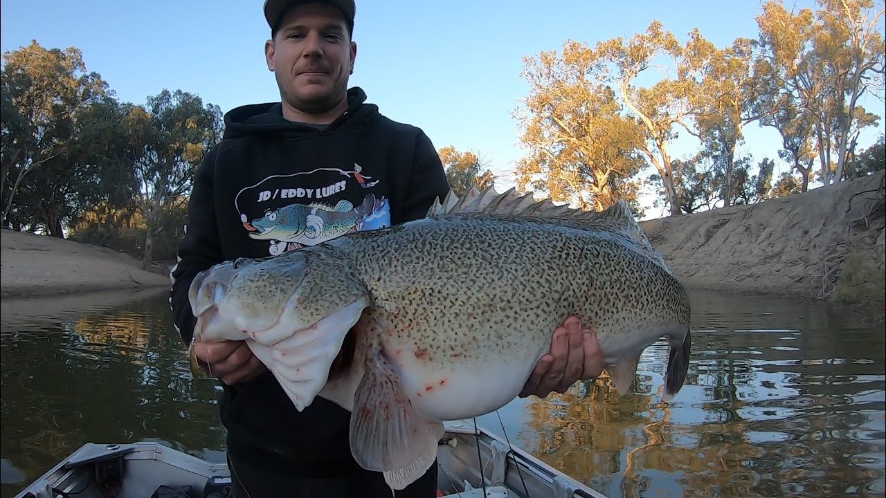 Daniel Catches an 80cm Murray Cod - YouTube
