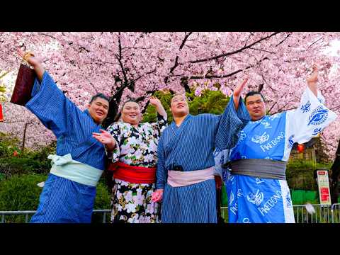 Kiraz Çiçekleri Altında Sokak Lezzetleri🌸 Sumo & Sakura