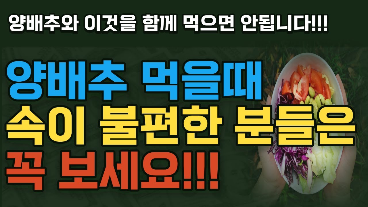 양배추와 이것을 함께 먹지 마세요 소화불량 생기고 배에 가스가 찹니다양배추 효능을 업그레이드 하는 섭취법 양배추 먹을 때