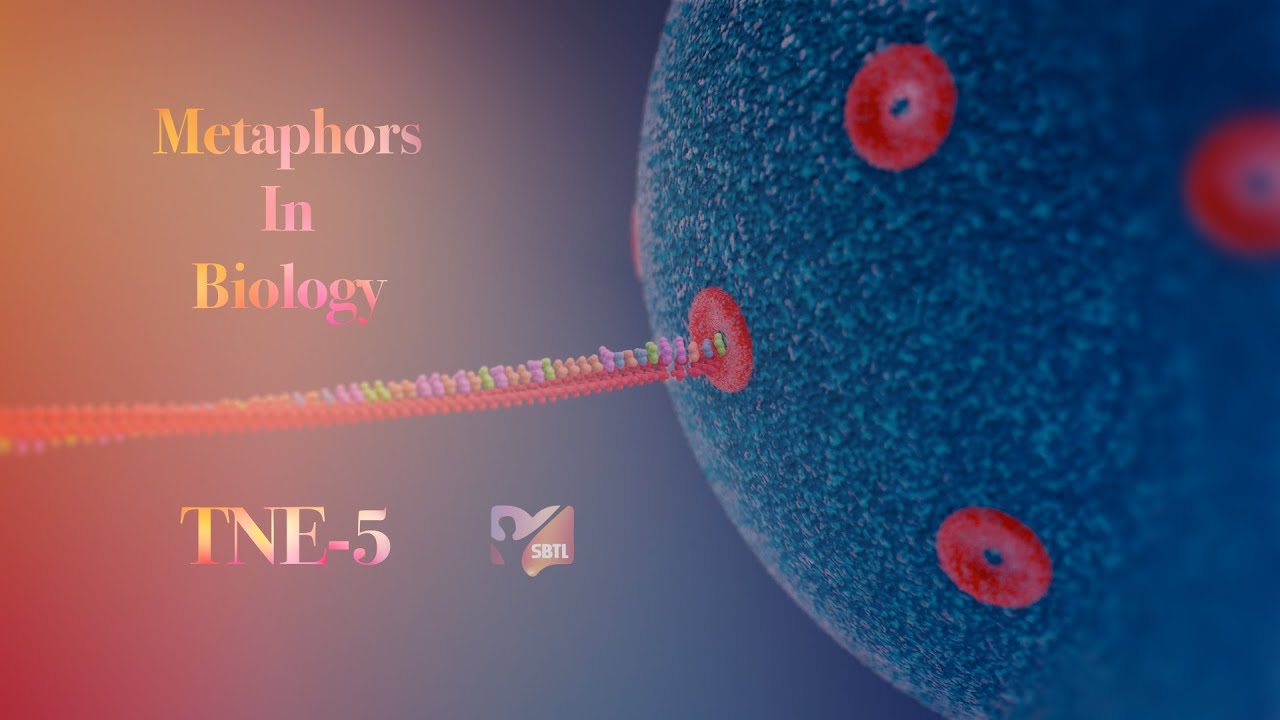 THE NEET EDUCAST- TNE 5 - METAPHORS IN BIOLOGY - YouTube