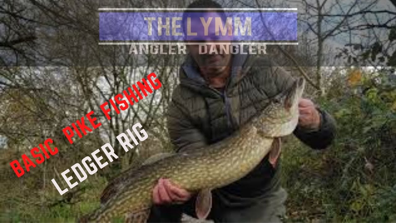 Basic Pike Set up : Beginners Basic Ledger / for Pike fishing - YouTube