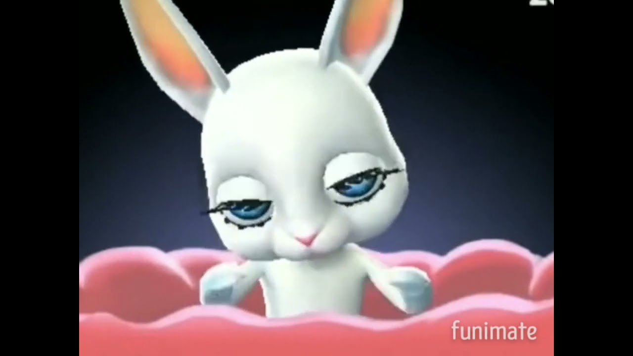 zoobe bunny gets funny | repost idk I'm crying 😱•| zoobe memes ...