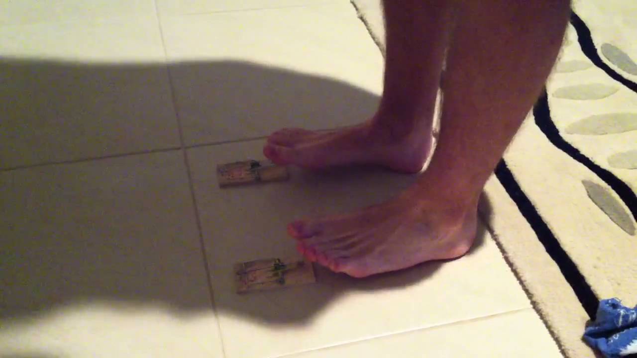 Mouse traps to the toes: Part 2. - YouTube