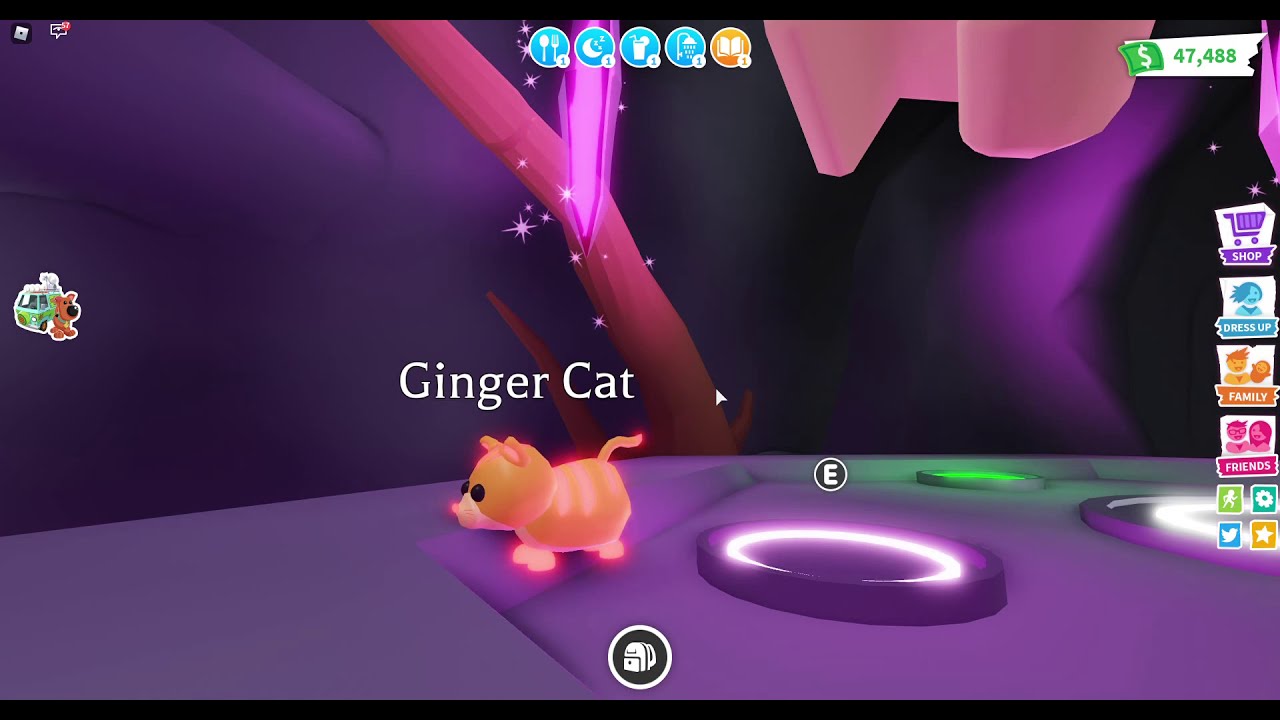 Roblox Adopt Me haciendo gato Ginger mega neon - YouTube