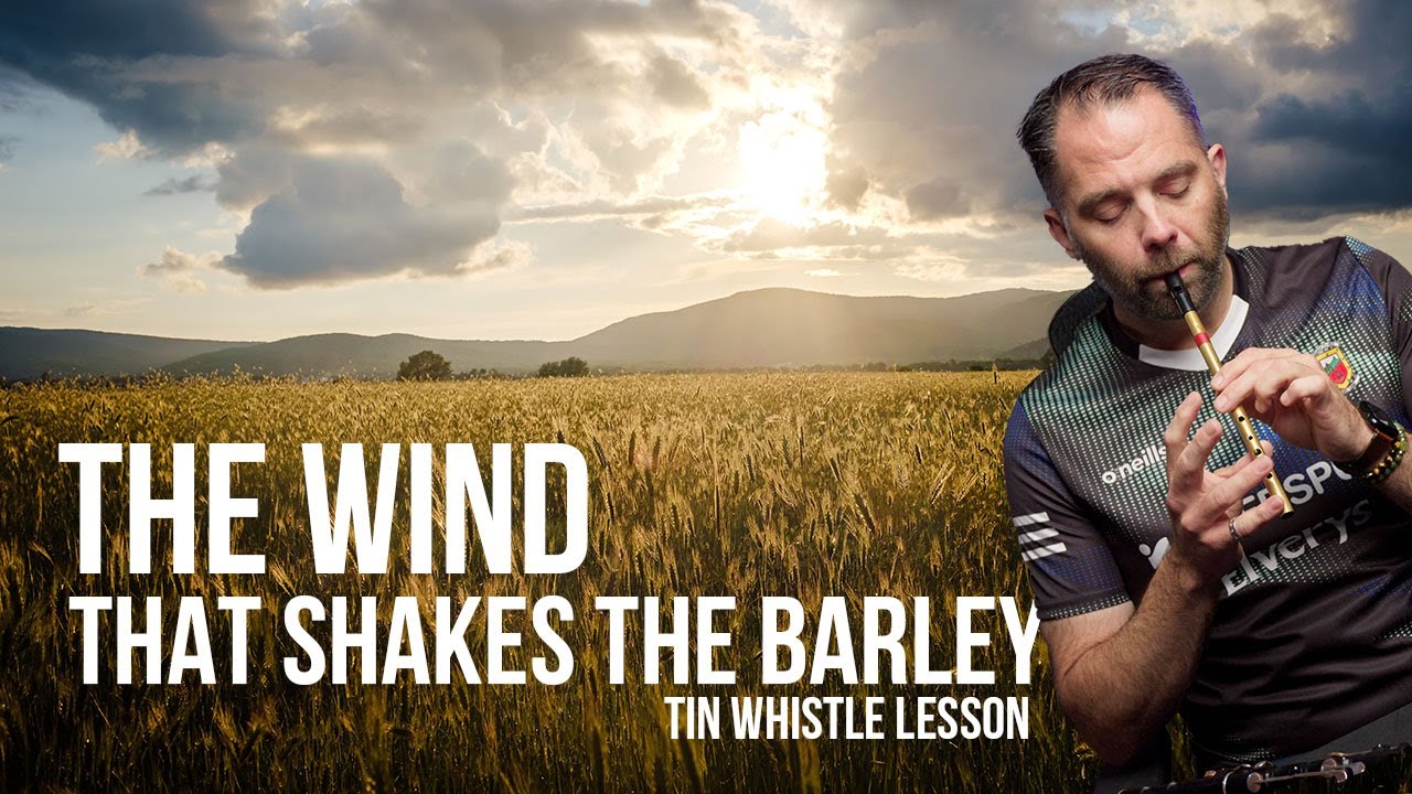 The Wind That Shakes the Barley (Irish reel) tin whistle lesson - YouTube