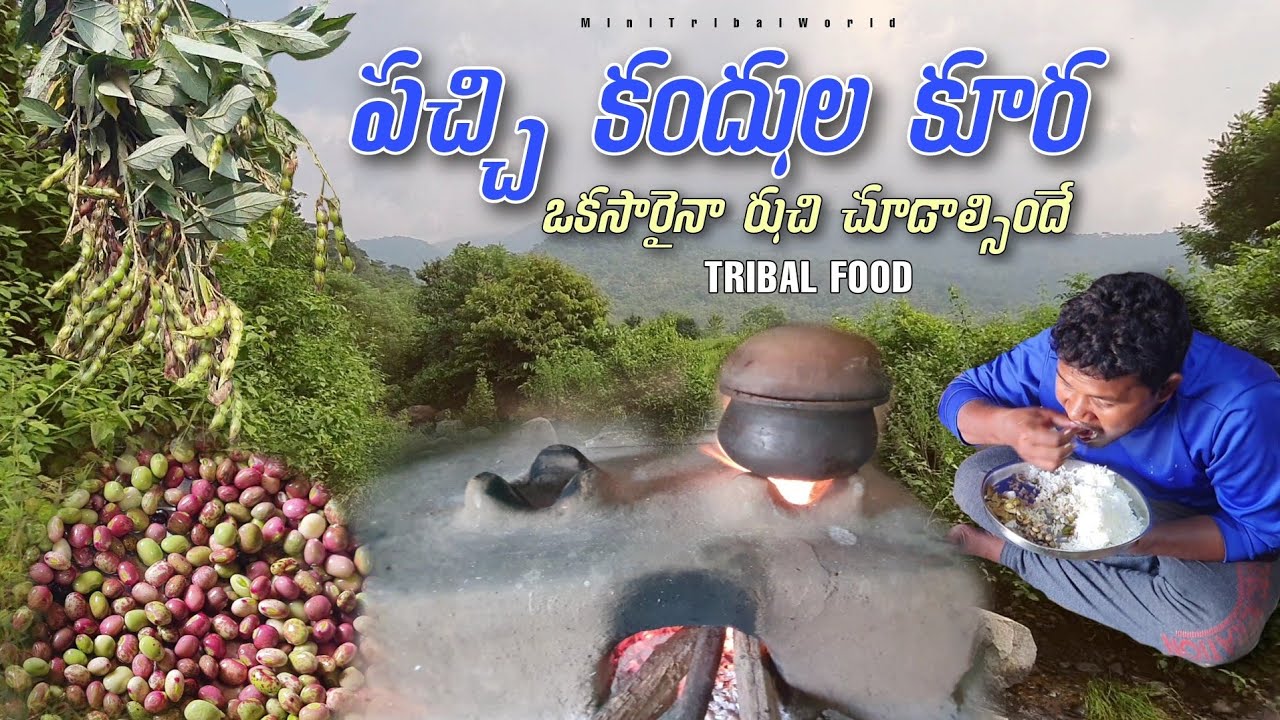 కందుల కూర Fresh Organic Pigeon Peas Recipe | Konda Kandulu Curry ...