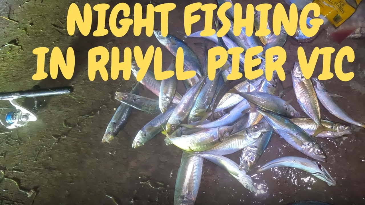 SQUID AT BLUE MACKEREL SA RHYLL - YouTube