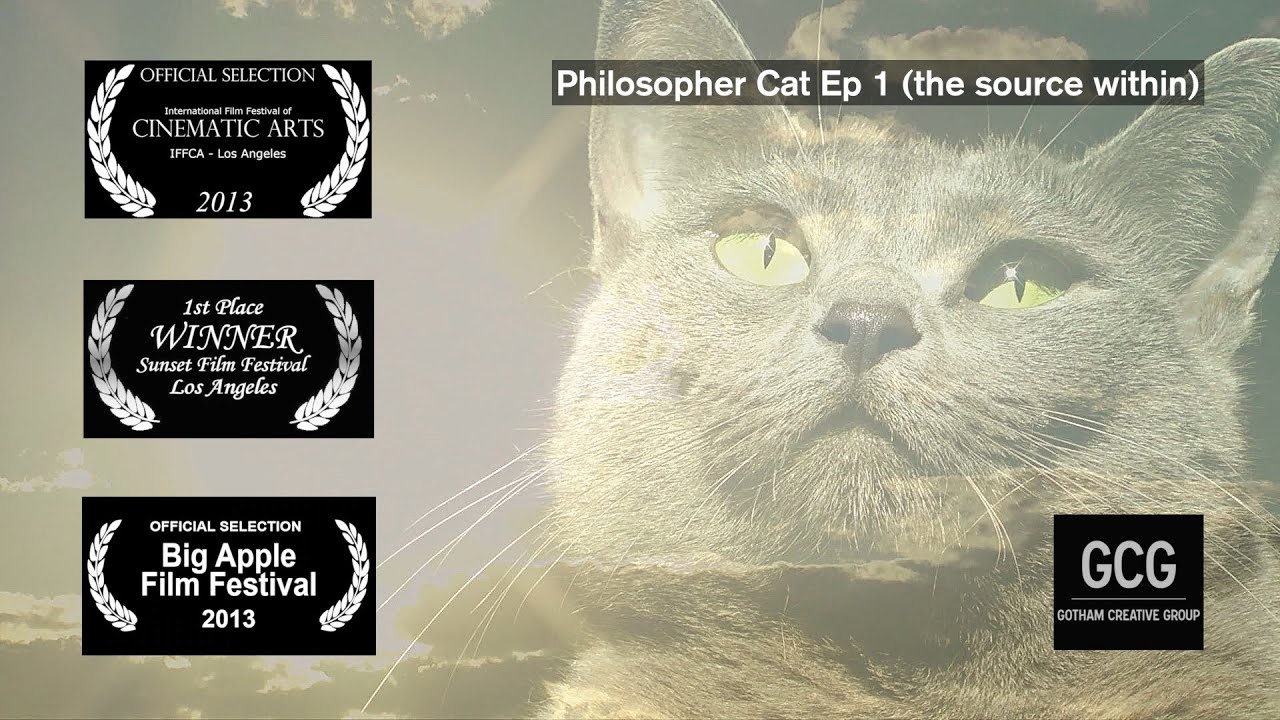 Philosopher Cat Ep 1 ("the source within") кошка-Философ. Эпизод 1 ...