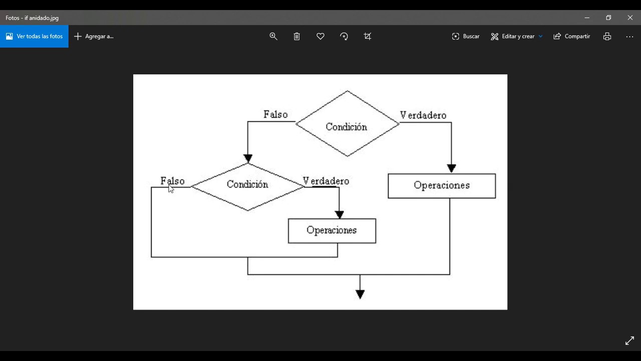 Curso Diagramas de Flujo con Raptor Video 5 Seccion 4 Condicionales ...