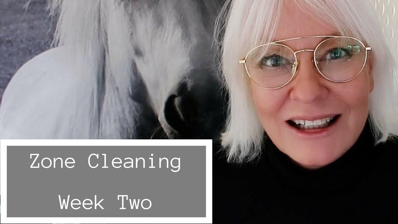 Zone Cleaning | Week 2 | Clean Up The Kitchen - YouTube