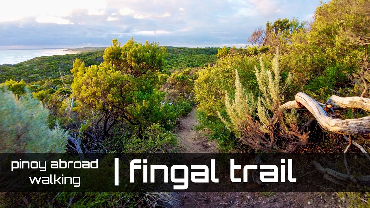 Walking In The Coastal Nature Of Fingal - Gunnamatta, VIC, Australia ...