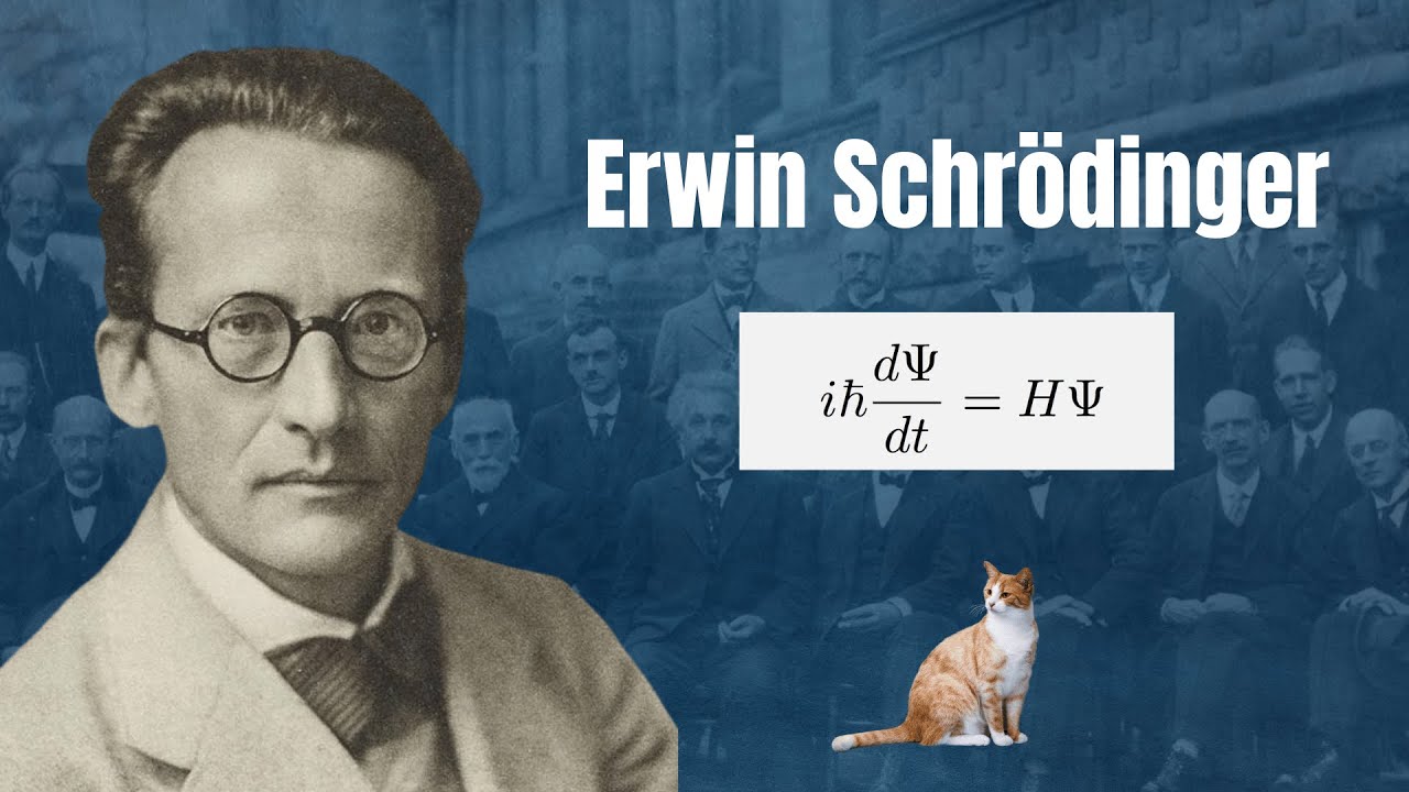 Mécanique quantique : Équation de Schrödinger - le paradoxe du chat de ...