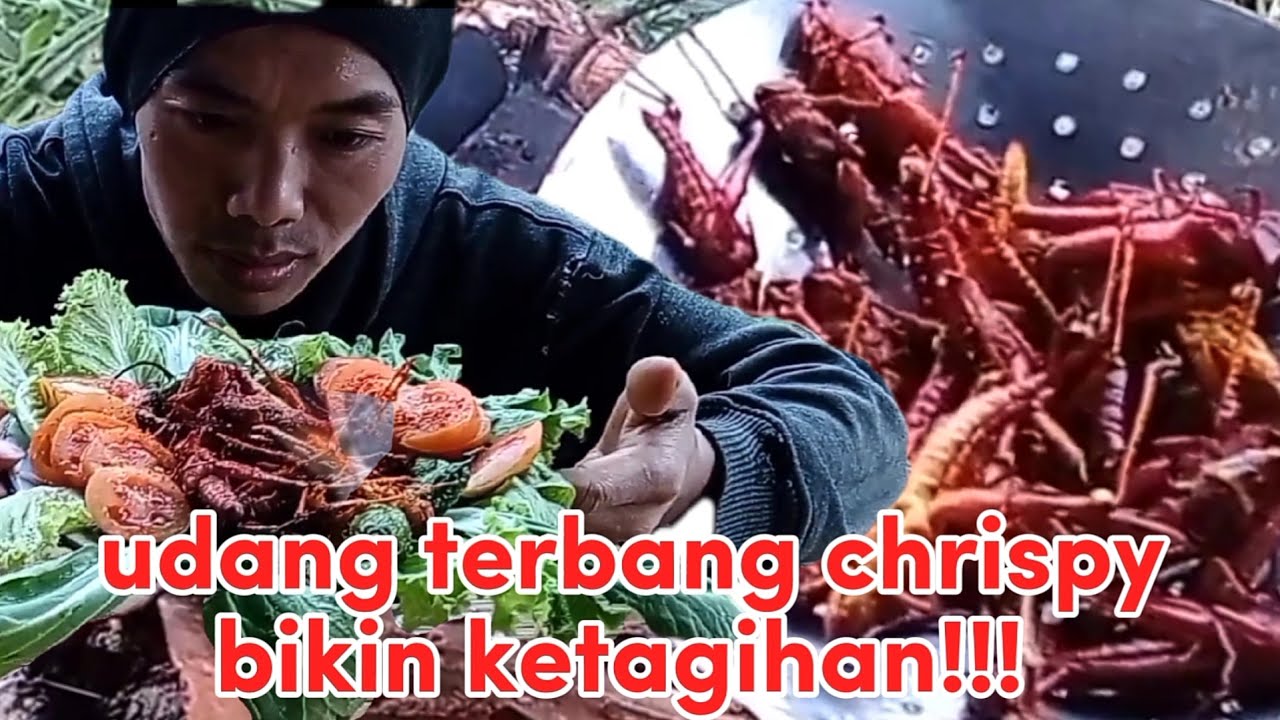Menu hari ini! belalang chrispy tomat cabe sayur - YouTube