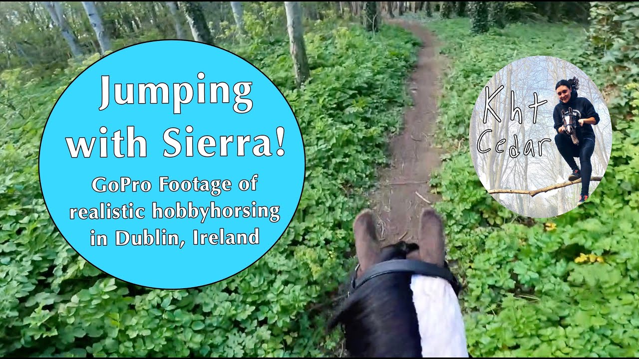 Hobby Horse GoPro Footage - Jumping Cross Country with Sierra aka Wild ...