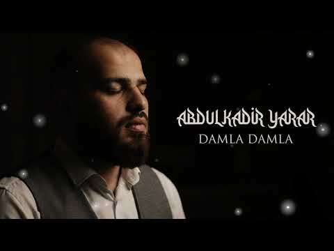DAMLA DAMLA | ABDULKADİR YARAR