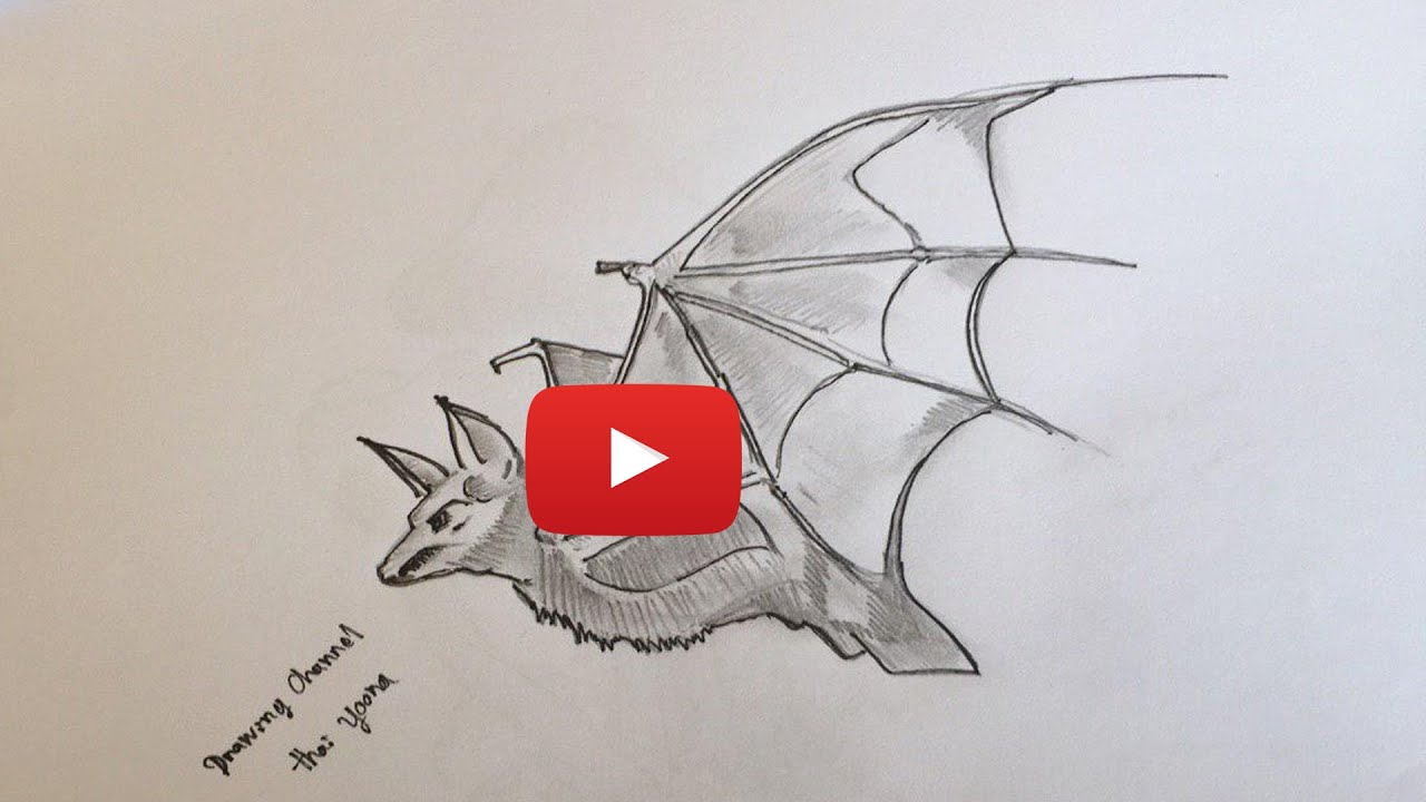 How to draw a Bats for beginners from sketch || pencil drawing images ...