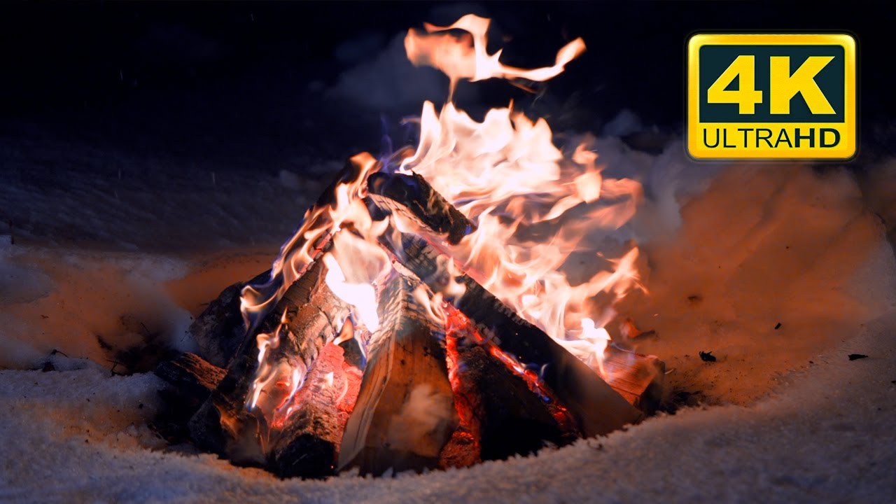 🔥 Crackling Campfire at Night in the Winter Forest (12 HOURS). Campfire ...