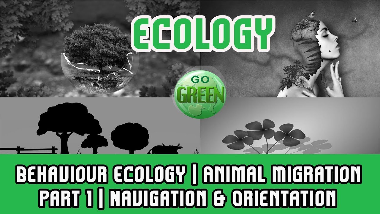 23. Behaviour Ecology | Animal Migration-I |Navigation & Orientation ...