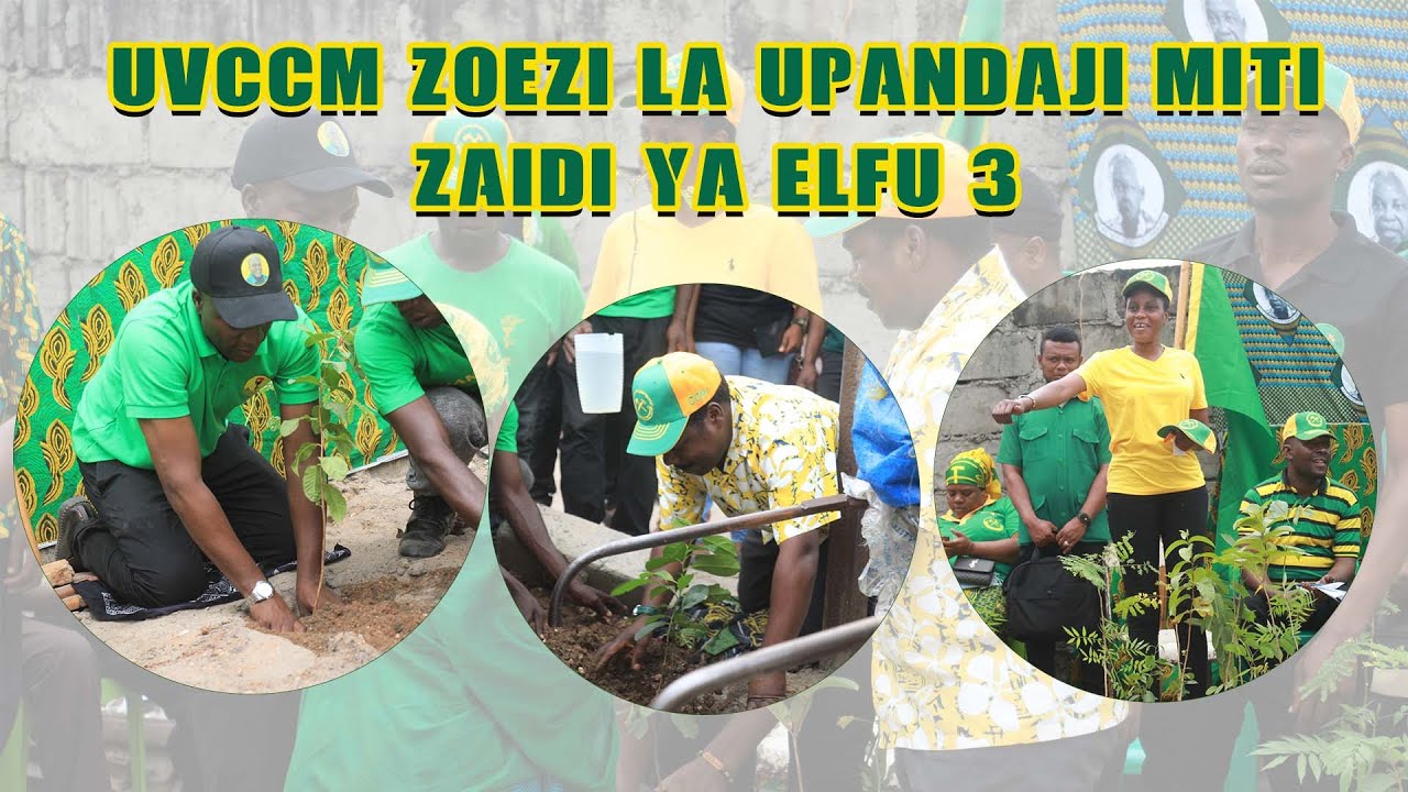 UVCCM YAIFANYA KINONDONI ANANASIF YA KIJANI KWA KUPANDA MITI ZAIDI YA ...