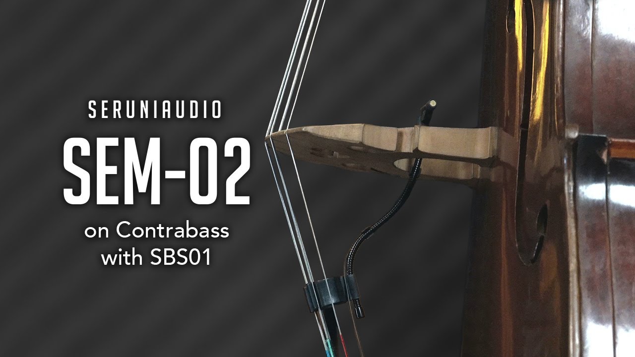 How to Mic a Double Bass with SEM-02 | Sound Sample - YouTube