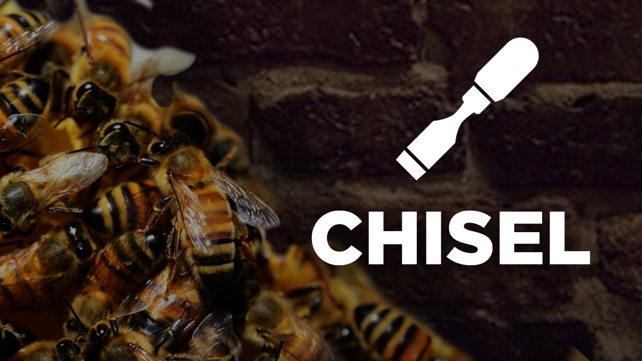 Bee Removal From Brick Wall Cavity, Chisel Required - YouTube