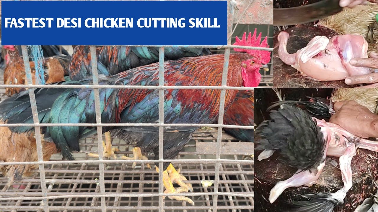 Fastest Live Desi Chicken Cutting Skills | Chicken Cutting Video | How ...