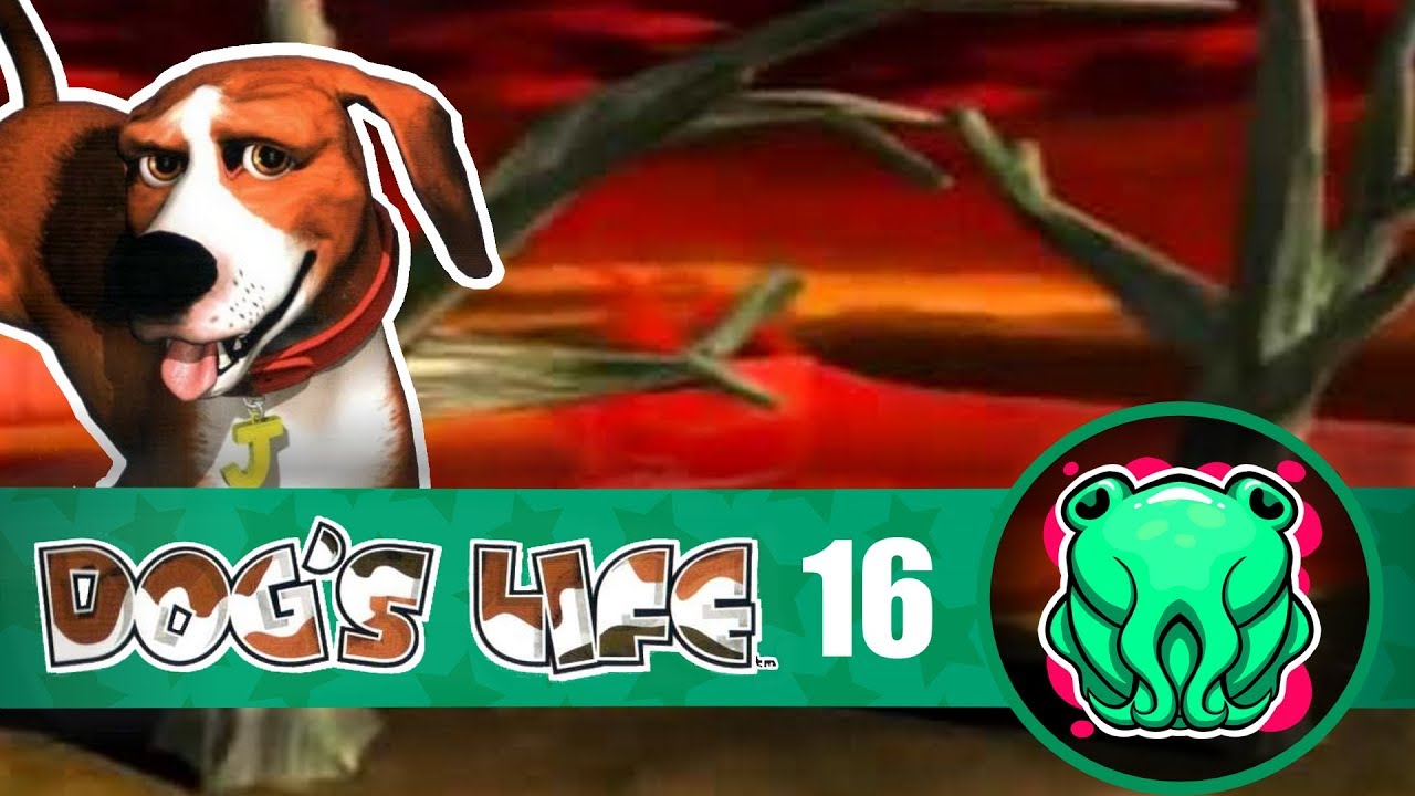Dog's Life - Dog Pound (2018 Stream) - YouTube