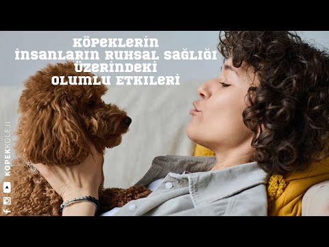 Köpeklerin İnsanların Ruhsal Sağlığı Üzerindeki Olumlu Etkileri