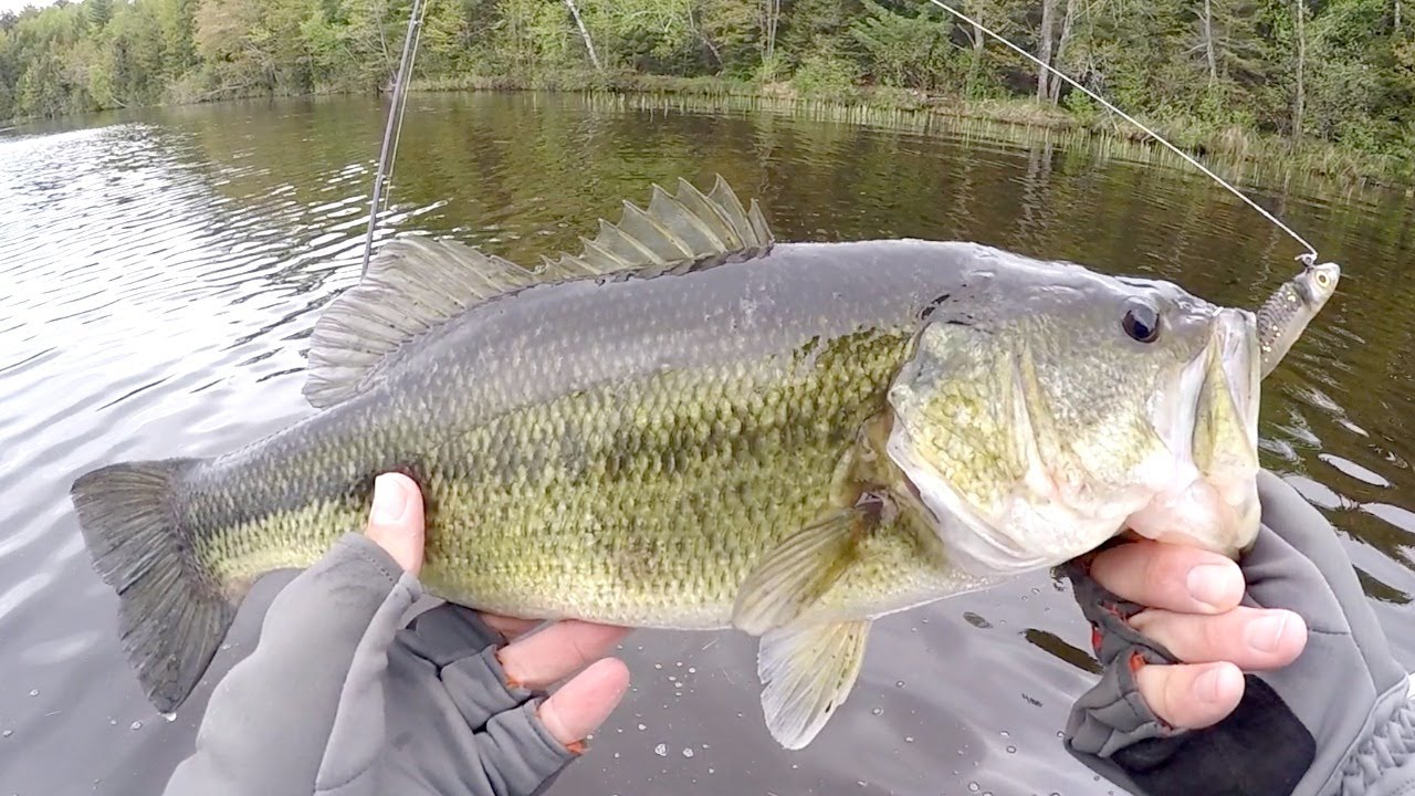 Bass and Pike Fishing in Wisconsin - YouTube