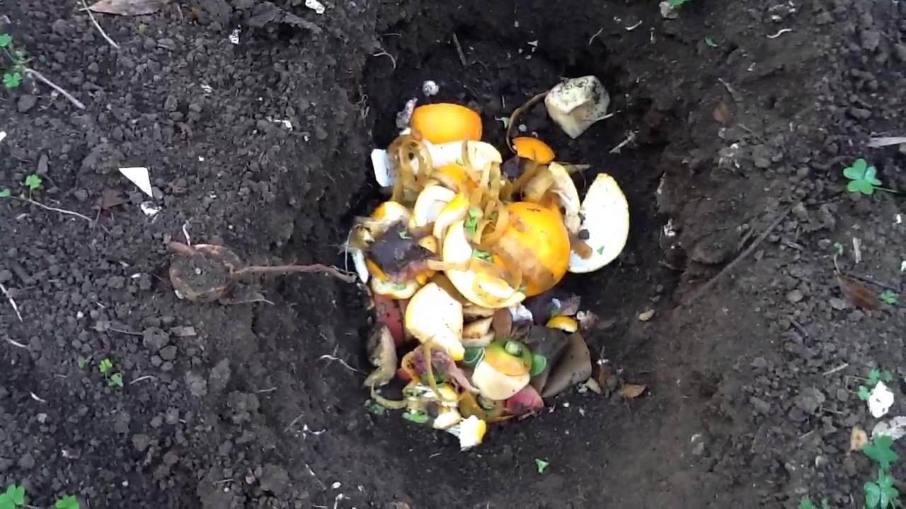 Garden Gold Compost in Grace's Garden - YouTube