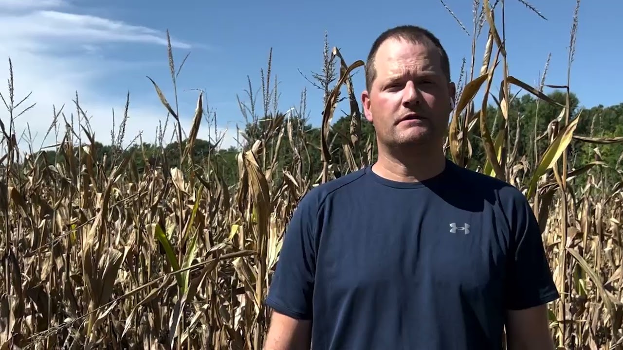 RhinoWare Testimonial - Brian Bierman, Superintendent - YouTube