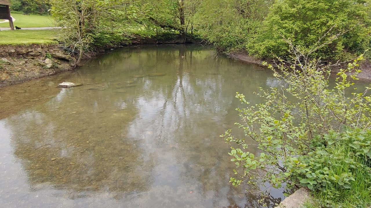 A walk on the wet side. - YouTube