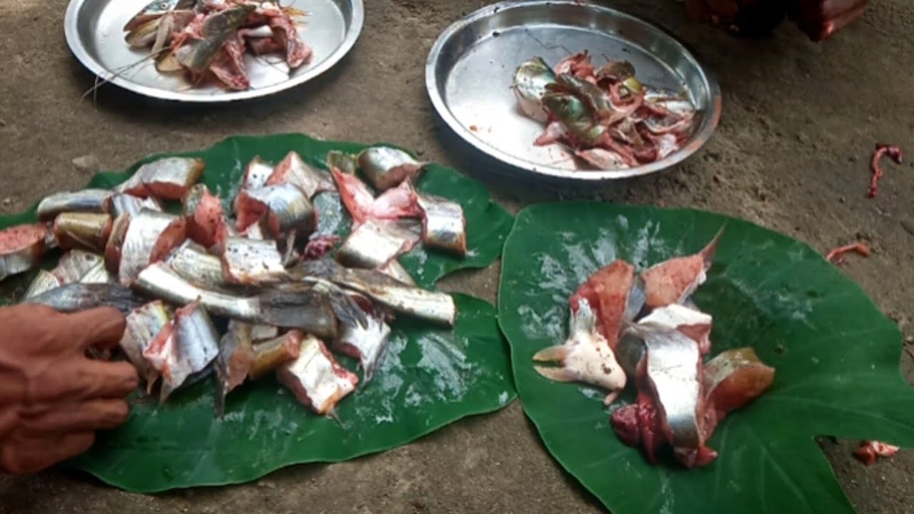 cutting giant buhari fish 🐟 | ankit | - YouTube