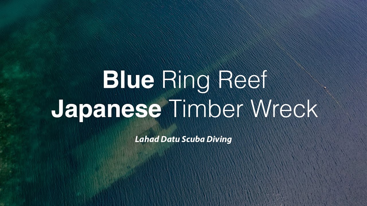 BLUE RING REEF & Japanese Timber Cargo Ship , Lahad Datu Sabah - YouTube