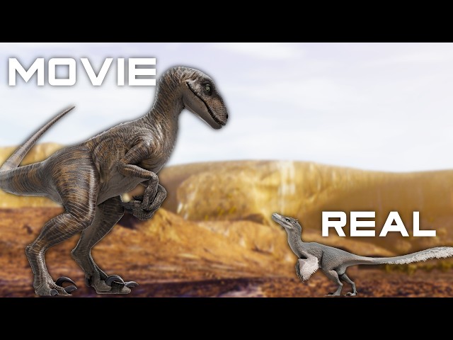 Velociraptor Real