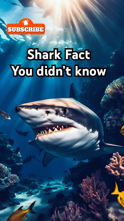"The Truth About Sharks: Fascinating Facts Revealed!" - YouTube