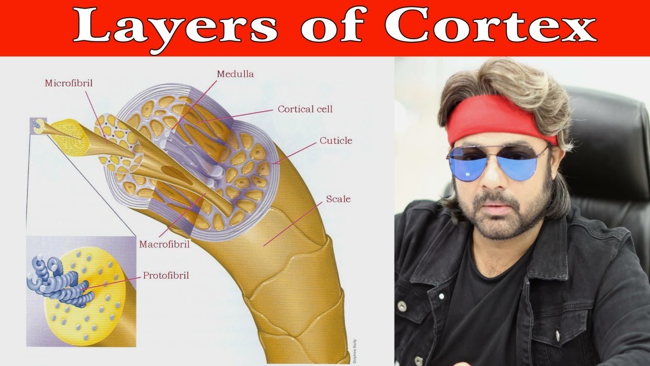 How many Layers of Cortex by Jas Sir from Sam and Jas Hair & Makeup ...
