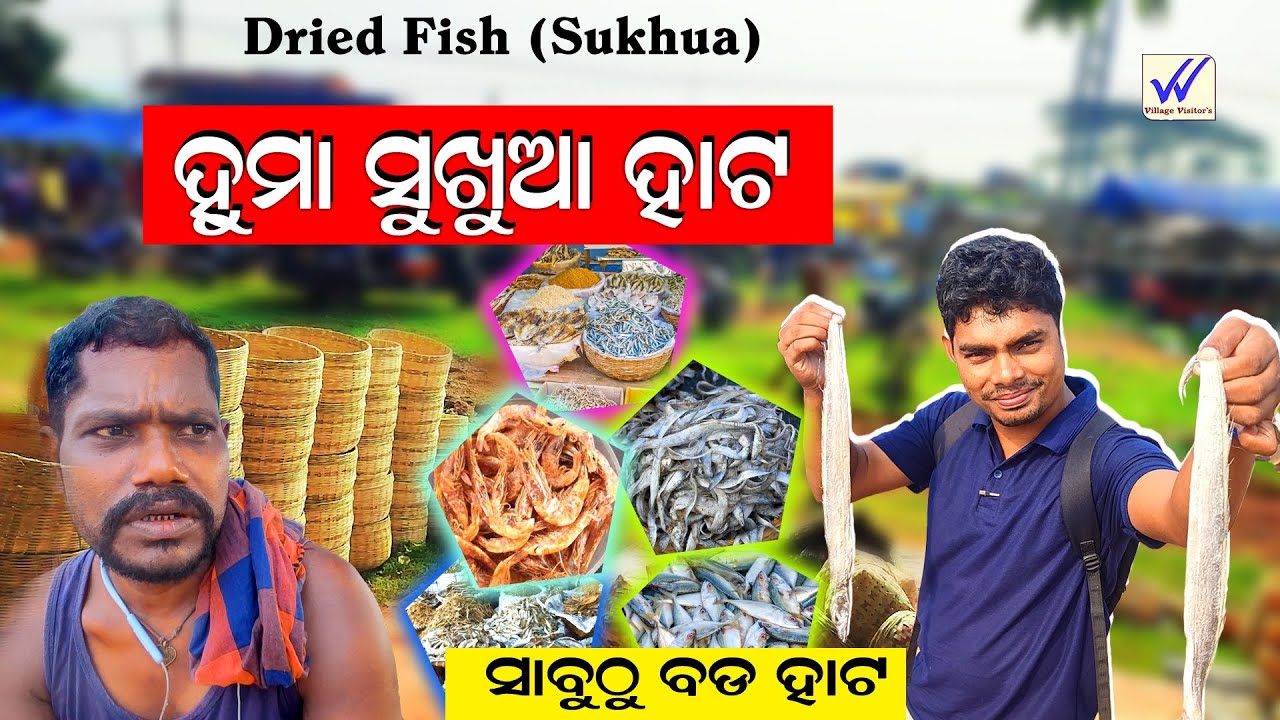 ହୁମା ଶୁଖୁଆ ହାଟ | Famous Dry Fish Market | Huma sukhua hata।#odiavlog # ...