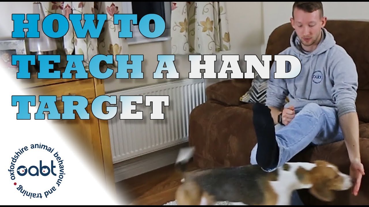 Hand Target - YouTube