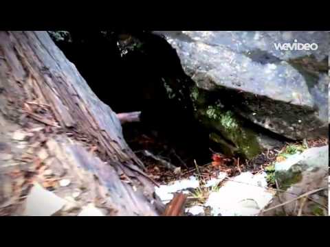 Bones EP23 SE08 Spring Canyon Helper, Utah - YouTube